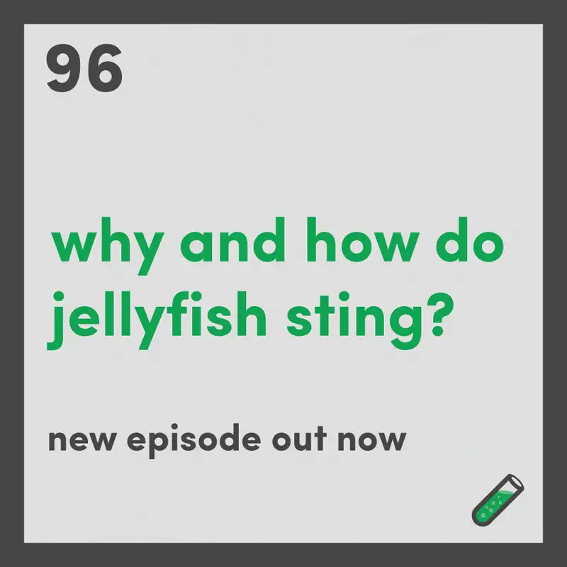 Chemistry For Your Life | Transcript: Why and how do Jellyfish sting?