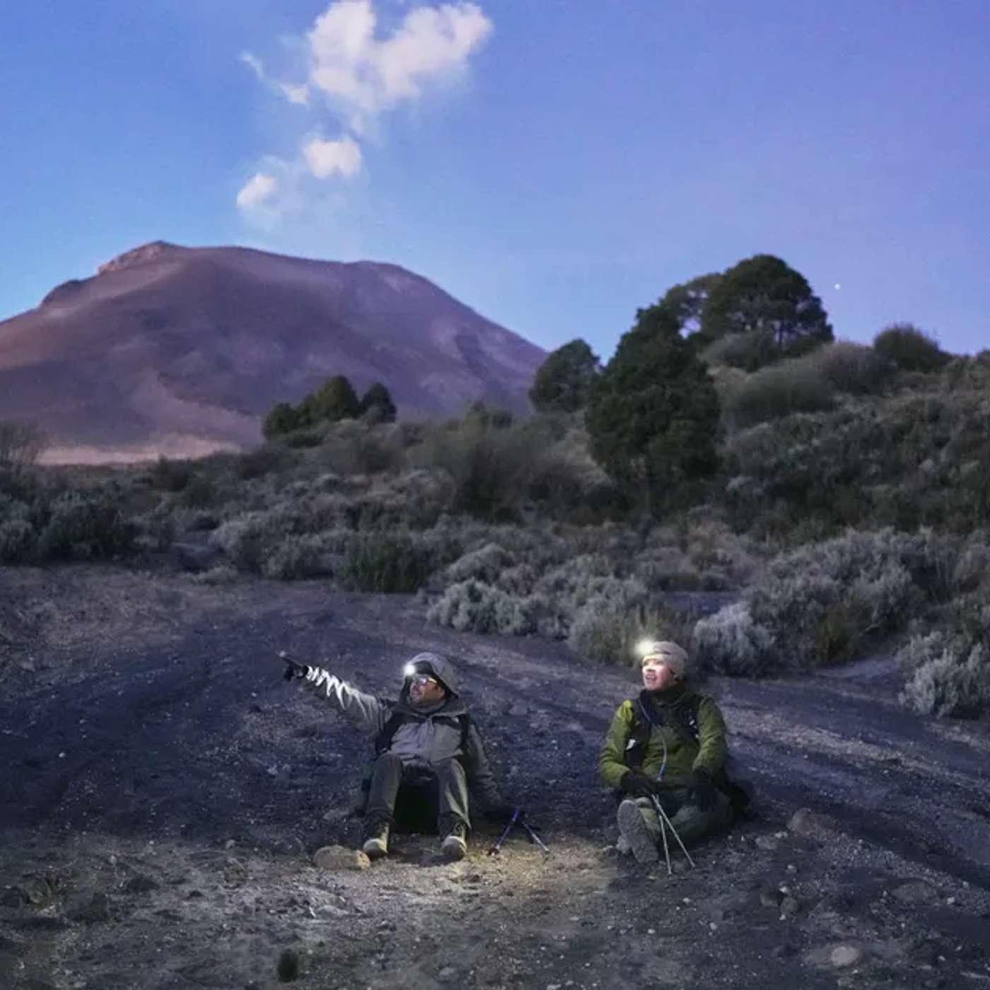 Europa Hidden Ocean Questioned, Bird Flu Surges in 2026, Blood Shortage ...