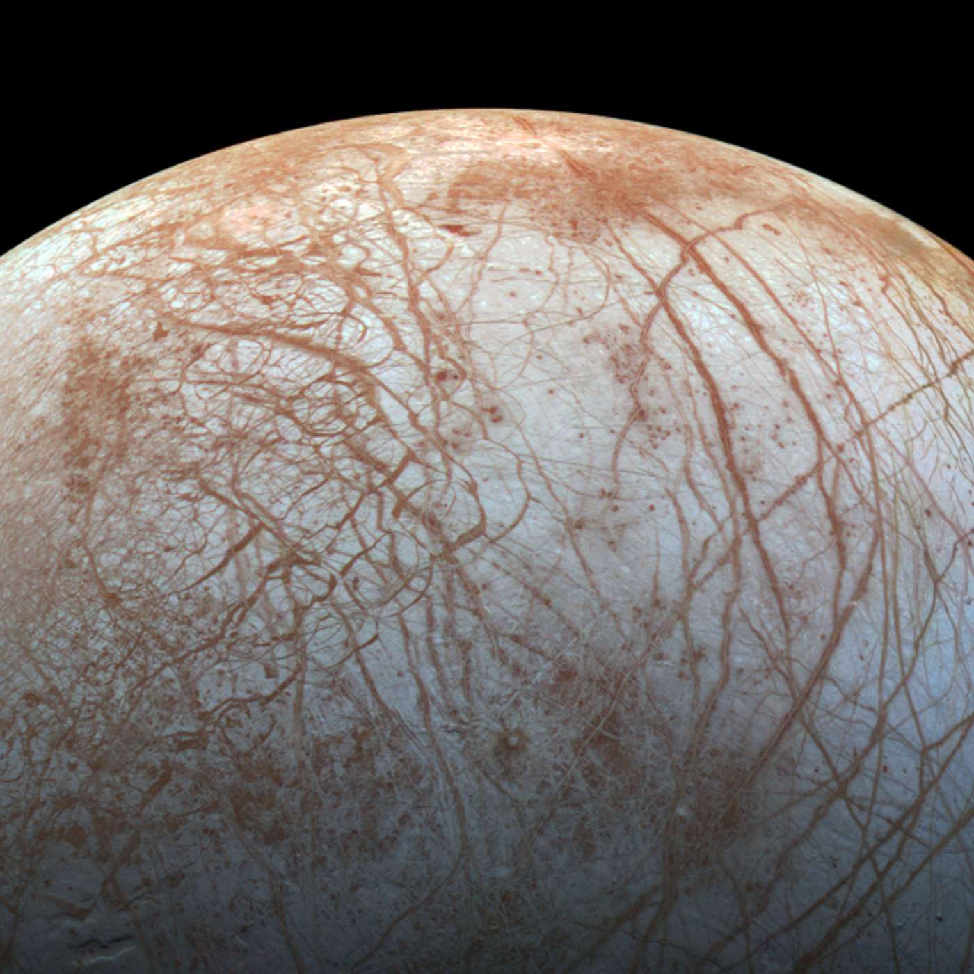 Europa Hidden Ocean Questioned, Bird Flu Surges in 2026, Blood Shortage ...