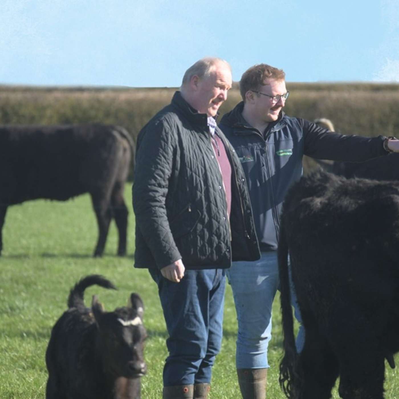 Breeding, Silage and Beef Performance with Future Beef Farmer John ...