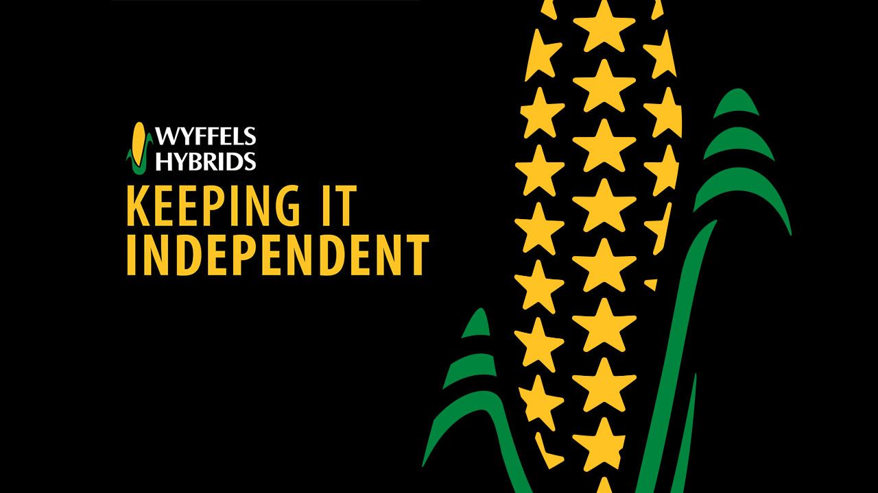 Keeping It Independent | It’s a (Corn) Love Story with Wyffels Corn ...