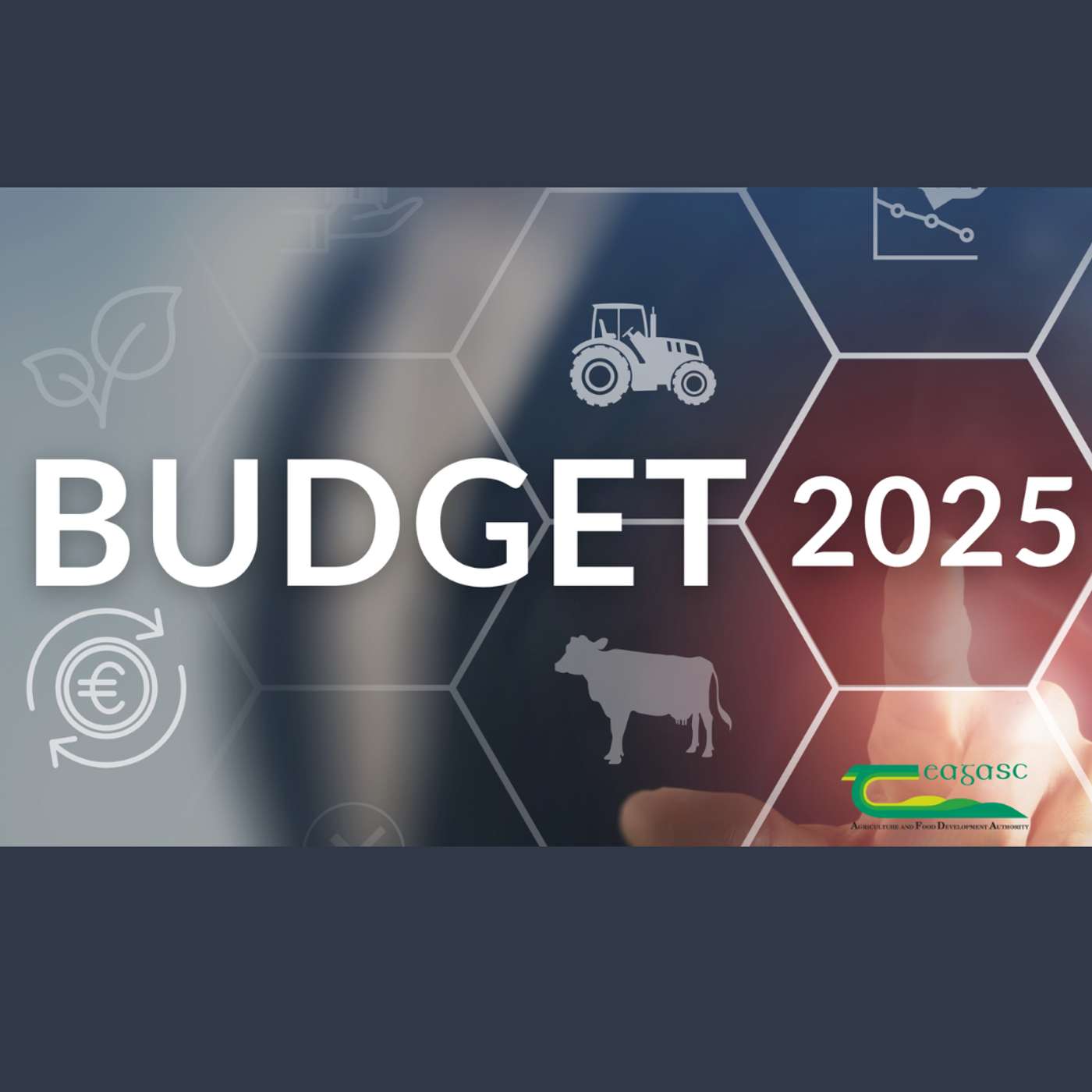 Budget 2025 – here’s what beef farmers need to know – The Beef Edge ...